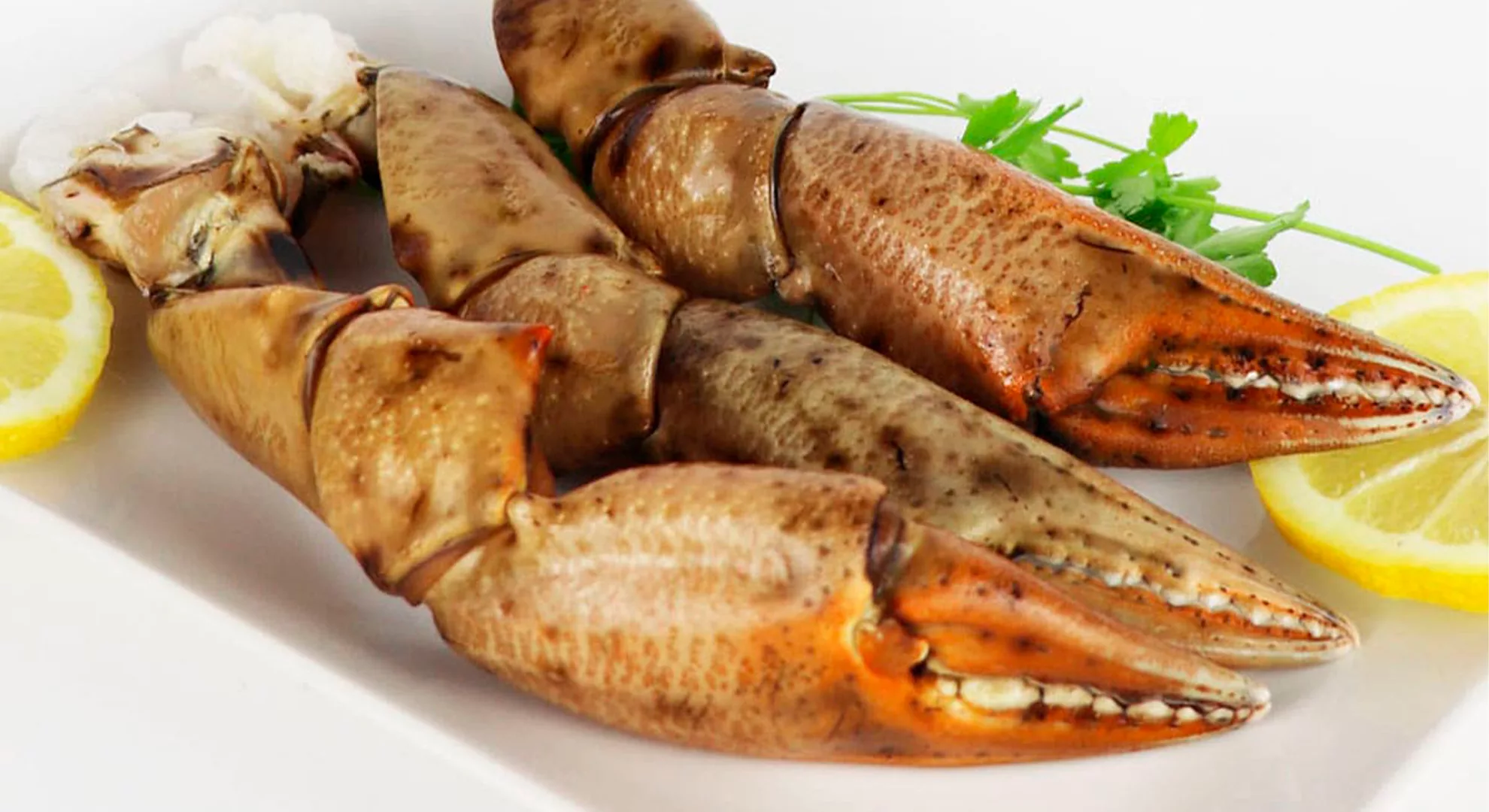 Boca Negra XL Congelada: ¿Por Qué Elegirla?